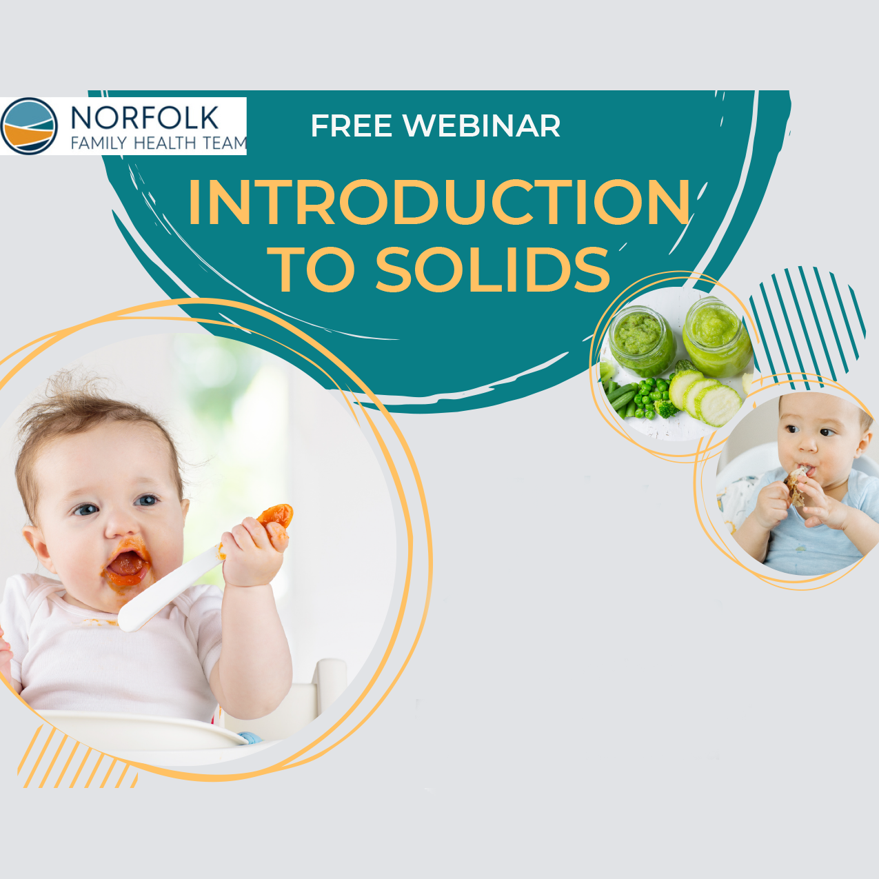 INTRODUCTIONTO SOLIDS - Norfolk Family Health Team